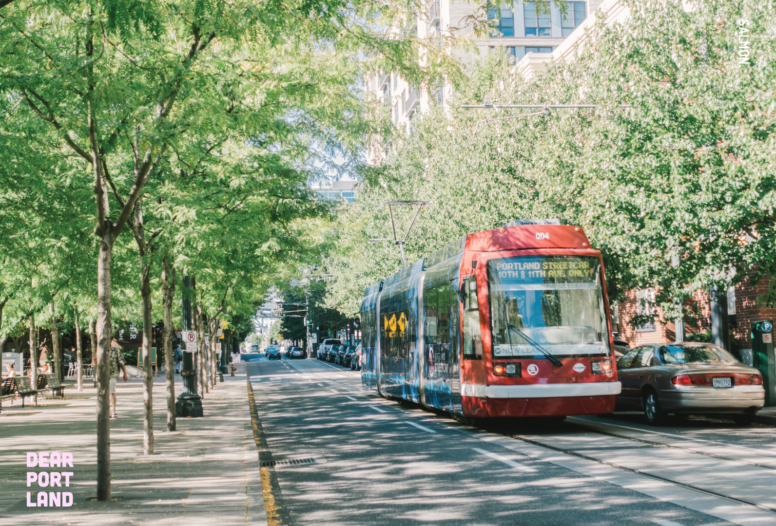 DEAR PORTLAND: LAND OF COMFORT ZONE - SALMON BOOKS